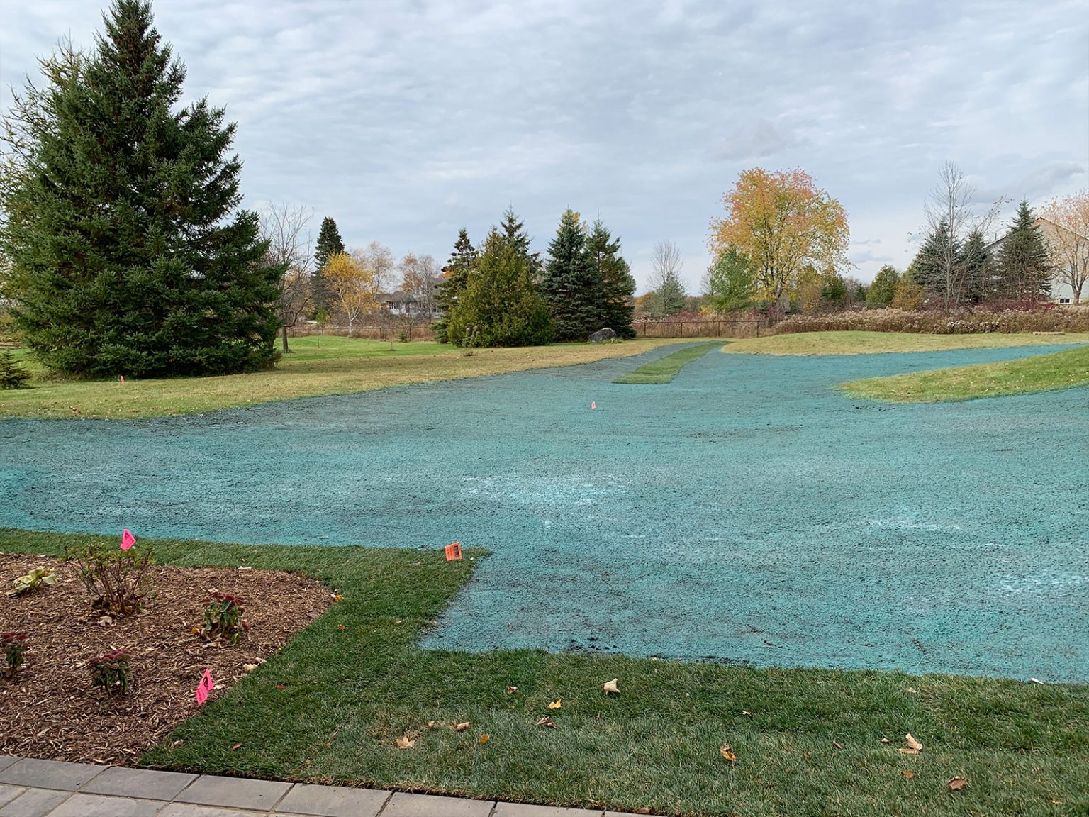 Hydroseeding & Grading - Chris Bradley Landscape Group